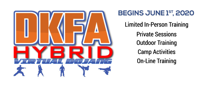 hybrid-banner-1 – DK Fitness Arts Taekwondo